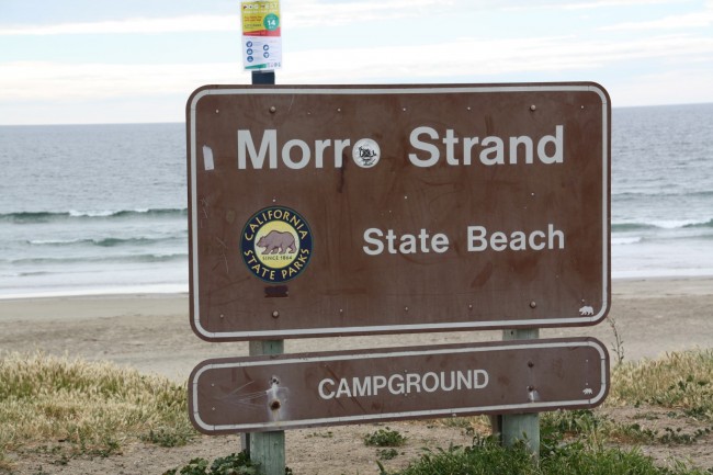 Morro Strand State Beach in Morro Bay, CA - California Beaches