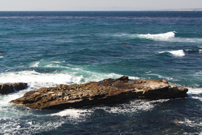 Shell Beach in La Jolla, CA - California Beaches