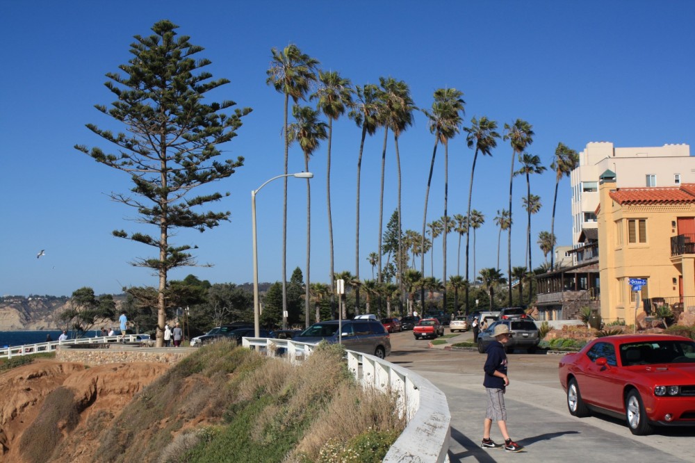 Shell Beach in La Jolla, CA - California Beaches