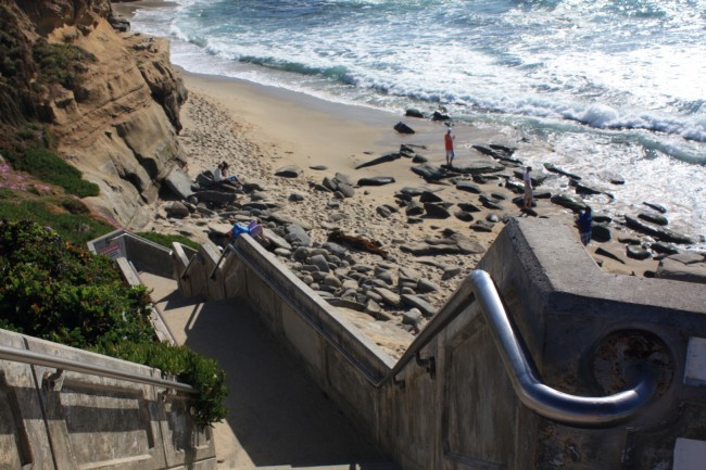 Shell Beach in La Jolla, CA - California Beaches