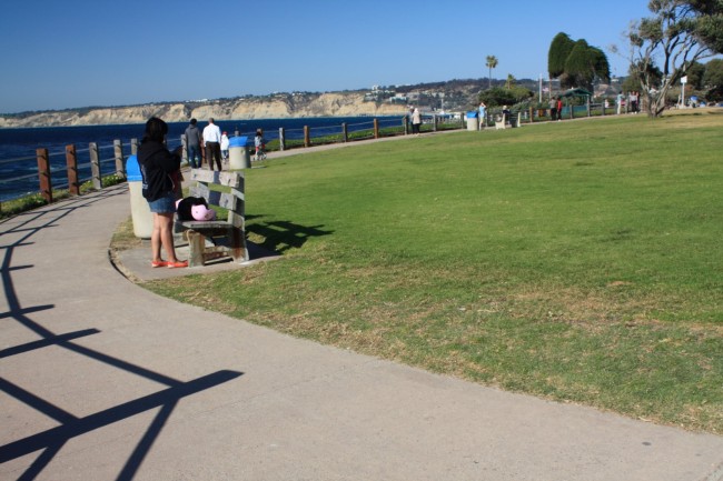 Shell Beach in La Jolla, CA - California Beaches