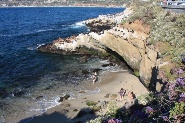 La Jolla Cove Beach in La Jolla, CA - California Beaches