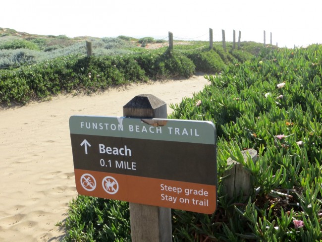 Fort Funston Beach in San Francisco, CA - California Beaches