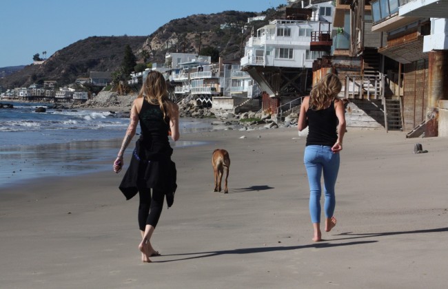 Big Rock Beach in Malibu, CA - California Beaches