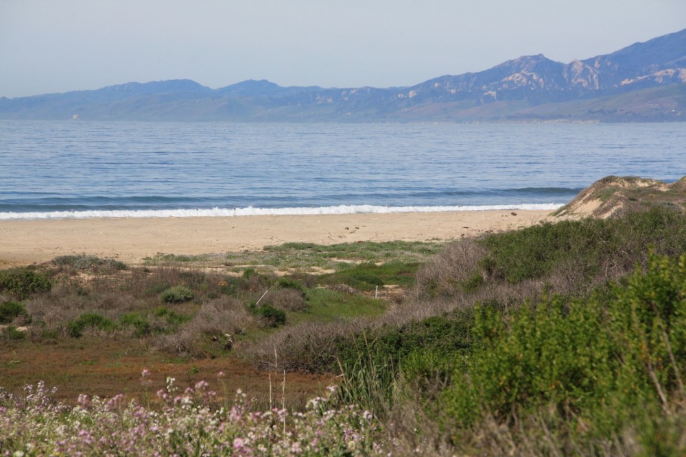 Sands Beach in Isla Vista, CA - California Beaches