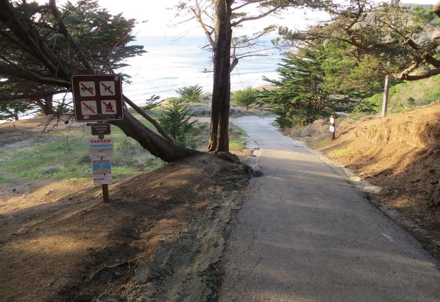 8 of the Best Coastal Hikes in California for Views of the Pacific Ocean