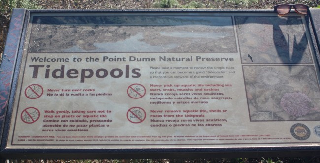 Point Dume State Beach in Malibu, CA - California Beaches
