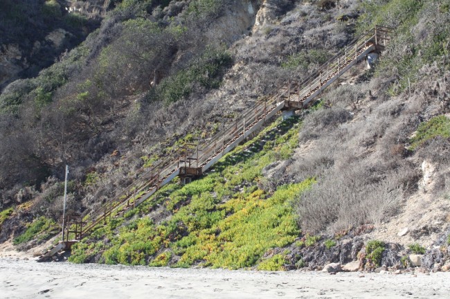 Point Dume State Beach in Malibu, CA - California Beaches
