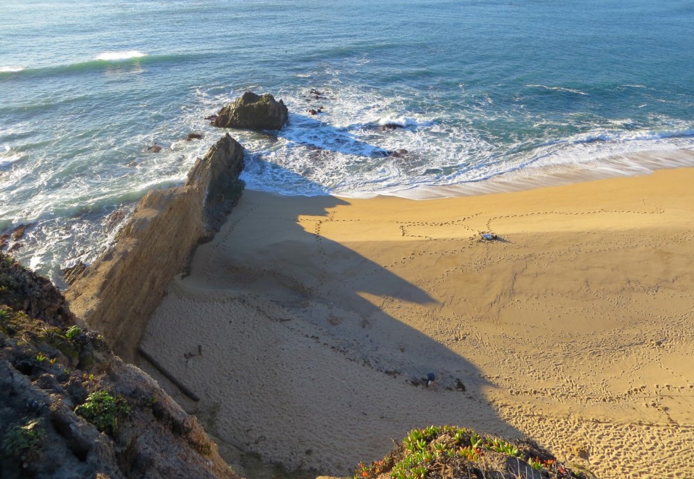 Cowell Ranch Beach in Half Moon Bay, CA - California Beaches