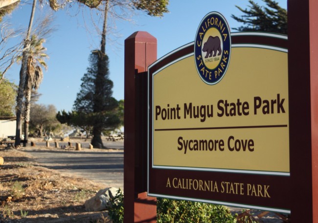 Sycamore Cove Beach in Malibu, CA - California Beaches