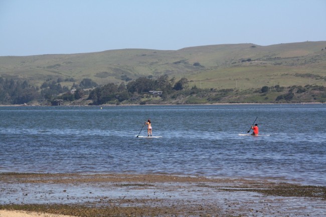 Chicken Ranch Beach in Inverness, CA - California Beaches