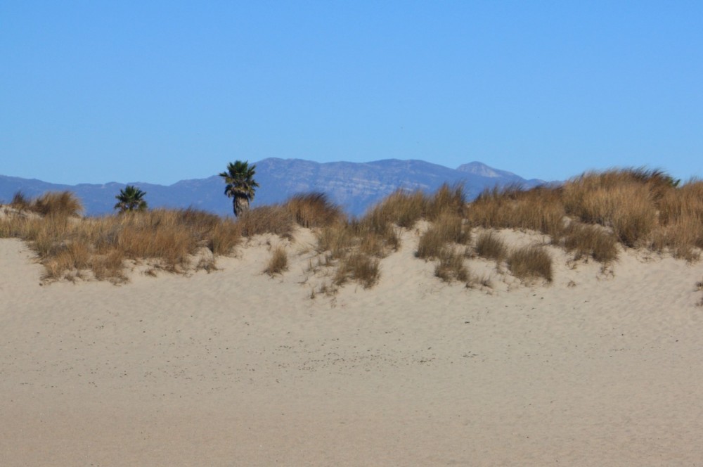 Oxnard Beach Park, Oxnard, CA - California Beaches