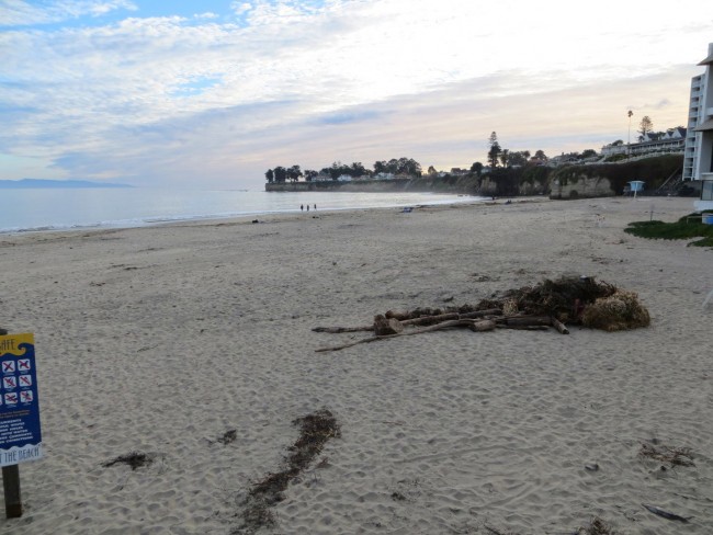 Cowell Beach in Santa Cruz, CA - California Beaches