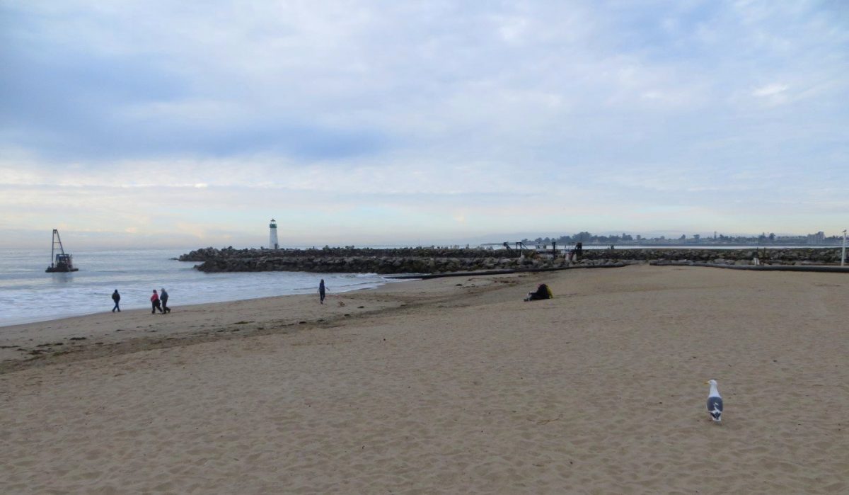 Seabright Beach in Santa Cruz, CA - California Beaches