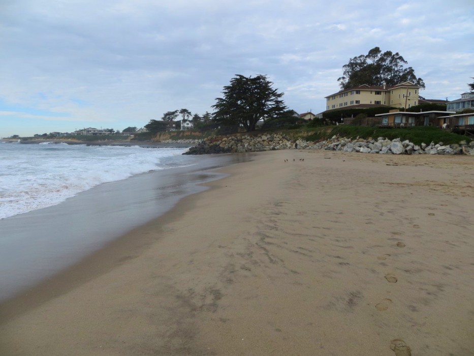 Corcoran Lagoon Beach in Santa Cruz, CA - California Beaches