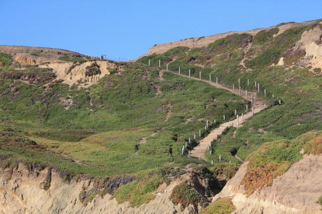 Fort Funston Beach in San Francisco, CA - California Beaches