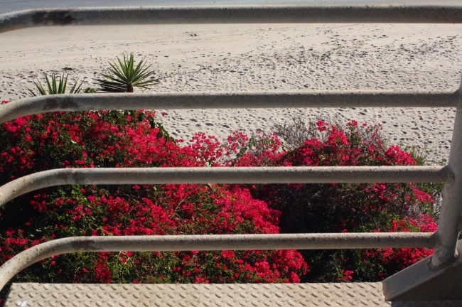 Escondido Beach in Malibu, CA - California Beaches