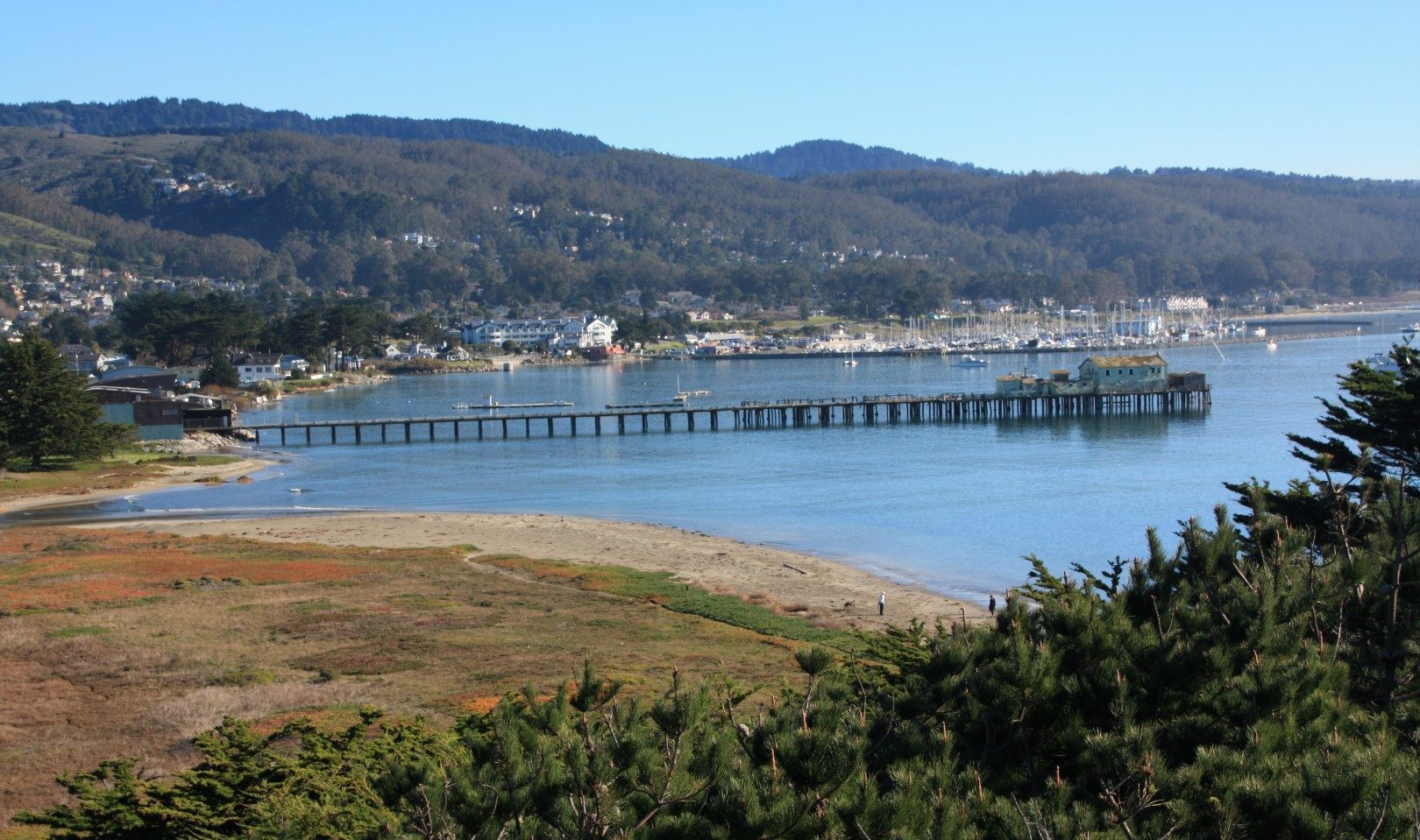 Mavericks Beach in Half Moon Bay, CA - California Beaches