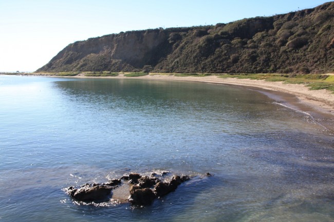 Mavericks Beach in Half Moon Bay, CA - California Beaches
