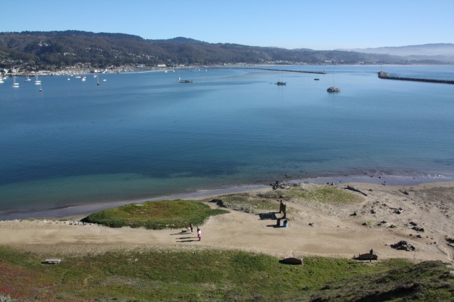 Mavericks Beach in Half Moon Bay, CA - California Beaches