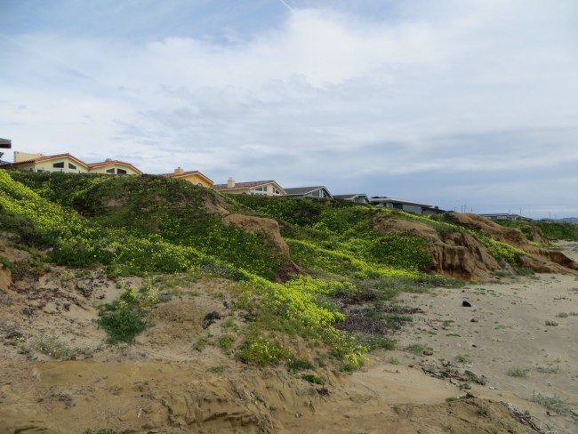 North Point Beach in Morro Bay, CA - California Beaches