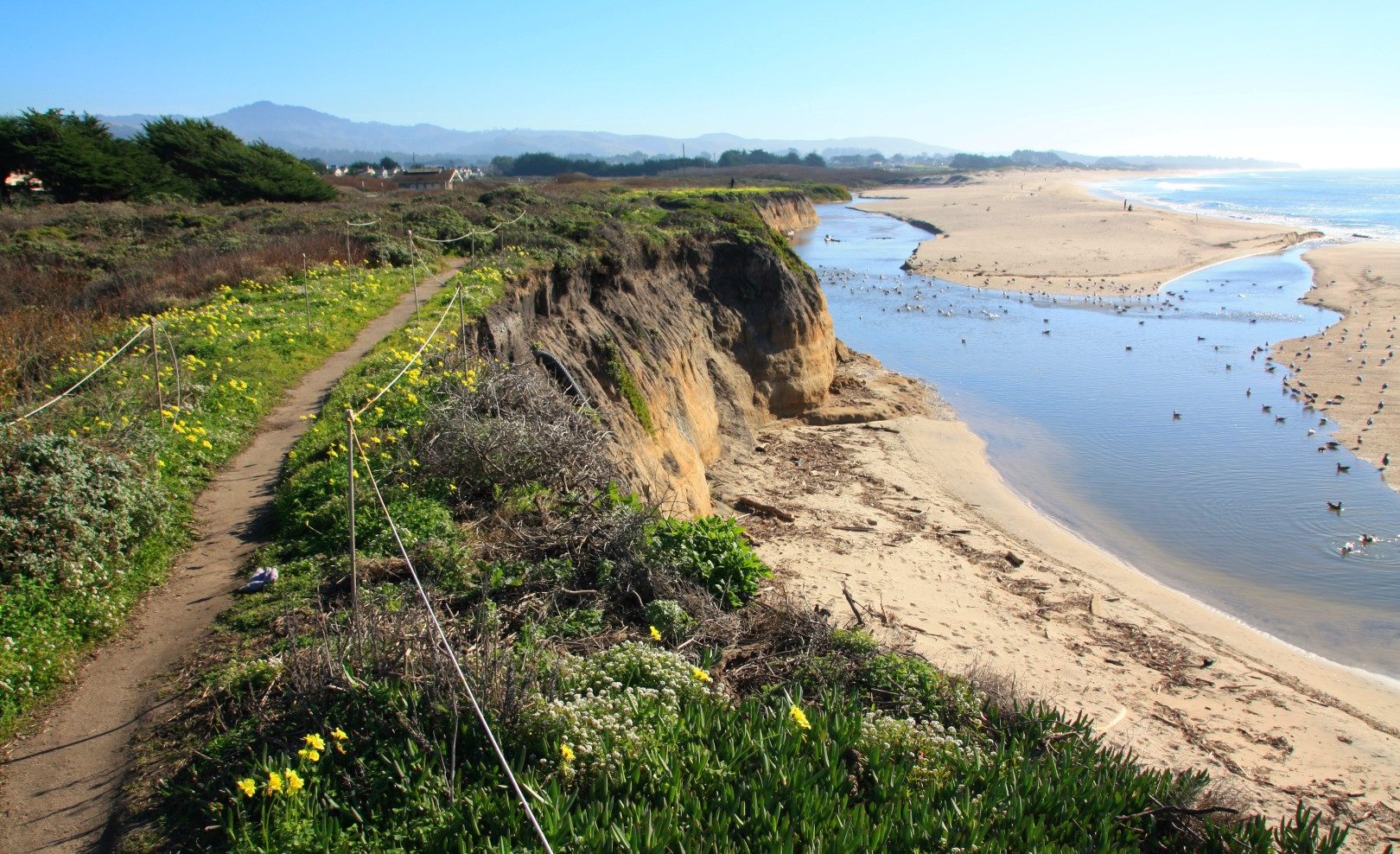 Poplar Beach in Half Moon Bay, CA - California Beaches