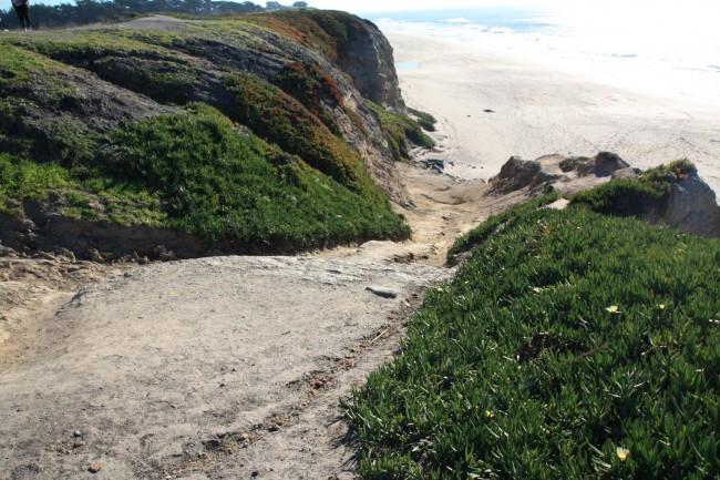 Poplar Beach in Half Moon Bay, CA - California Beaches