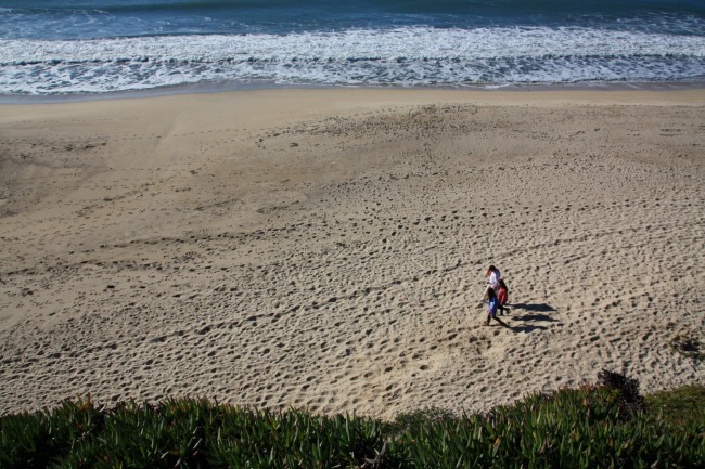 Poplar Beach in Half Moon Bay, CA - California Beaches