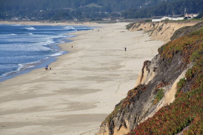 Poplar Beach in Half Moon Bay, CA - California Beaches