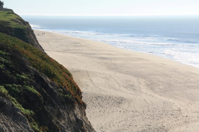Poplar Beach in Half Moon Bay, CA - California Beaches