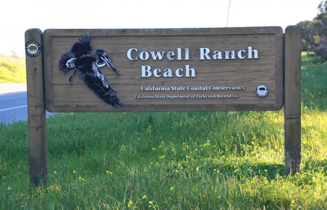 Cowell Ranch Beach in Half Moon Bay, CA - California Beaches