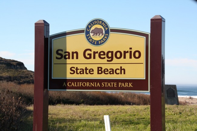 San Gregorio State Beach in San Gregorio, CA - California Beaches