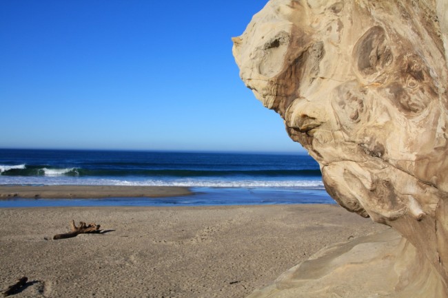 San Gregorio State Beach in San Gregorio, CA - California Beaches