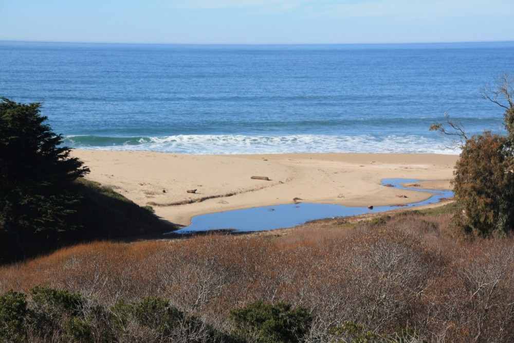 Bolsa Point Beach in Pescadero, CA - California Beaches