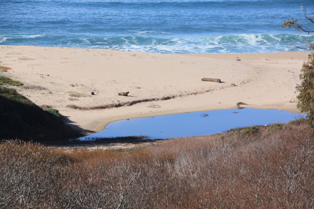 Bolsa Point Beach in Pescadero, CA - California Beaches
