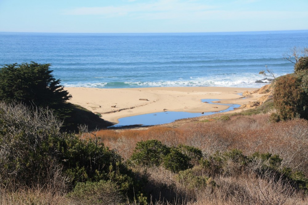 Bolsa Point Beach in Pescadero, CA - California Beaches