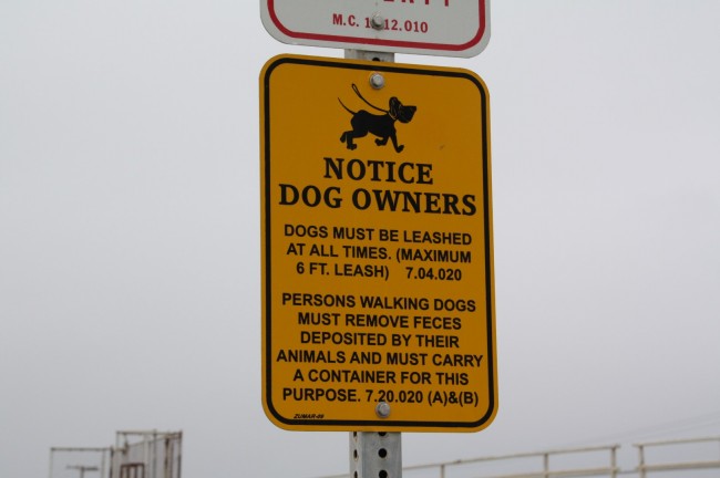 Santa Ana River Jetties Beach in Newport Beach, CA - California Beaches