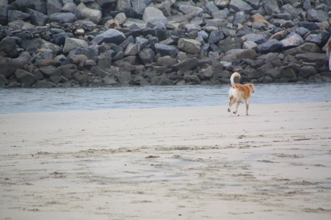Santa Ana River Jetties Beach in Newport Beach, CA - California Beaches