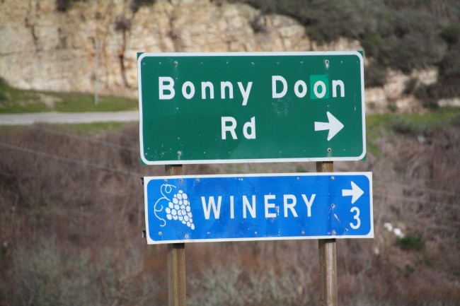 Bonny Doon Beach in Santa Cruz, CA - California Beaches