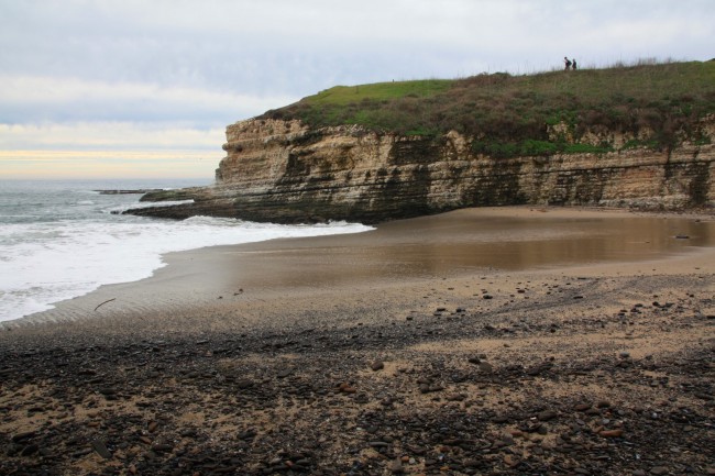 Fern Grotto Beach at Wilder Ranch State Park in Santa Cruz, CA ...