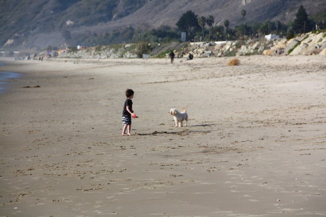 Mussel Shoals Beach in Ventura, CA - California Beaches