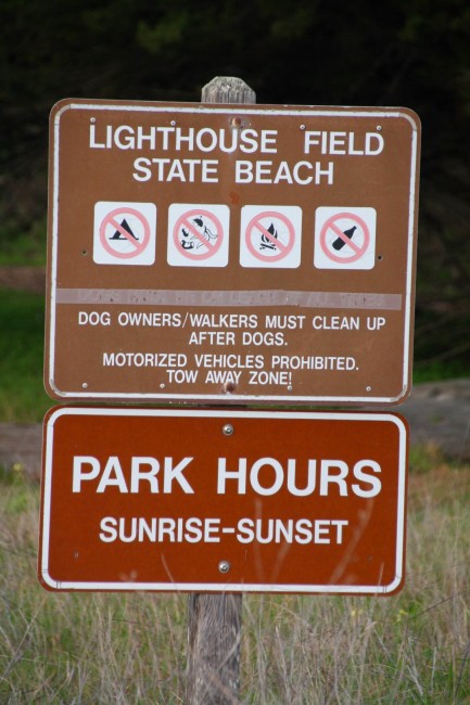 Lighthouse Field State Beach in Santa Cruz, CA - California Beaches