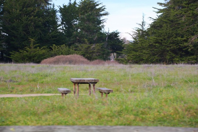 Lighthouse Field State Beach in Santa Cruz, CA - California Beaches