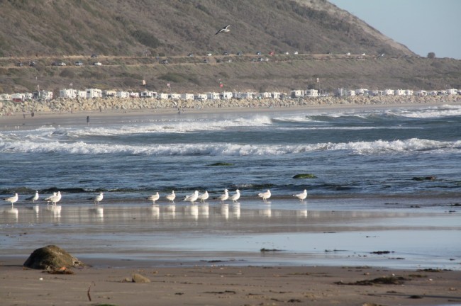 Hobson Beach in Ventura, CA - California Beaches