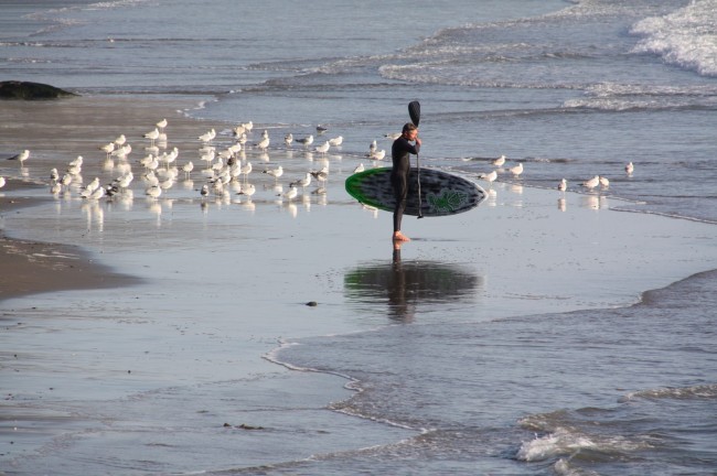 Hobson Beach in Ventura, CA - California Beaches