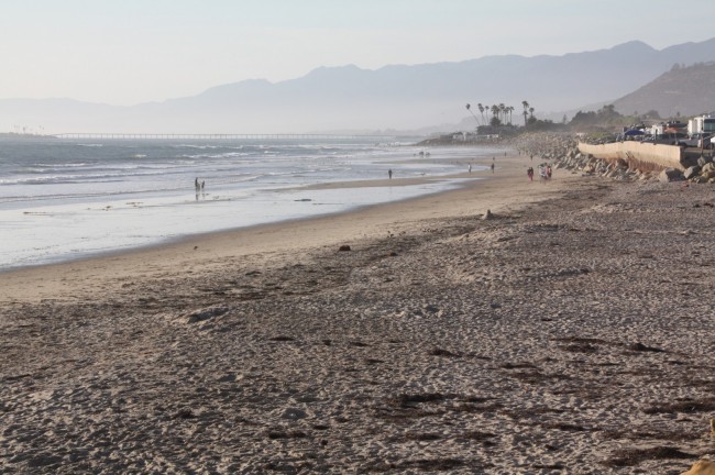 Rincon Parkway Beach in Ventura, CA - California Beaches