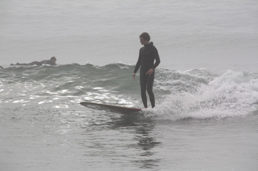 Rincon Point State Beach in Carpinteria, CA - California Beaches
