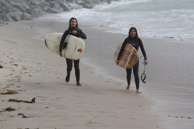 Rincon Point State Beach in Carpinteria, CA - California Beaches