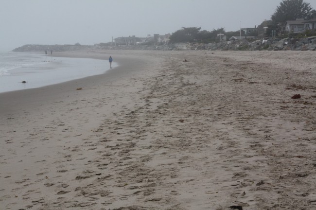 Sandyland Cove Beach in Carpinteria, CA - California Beaches