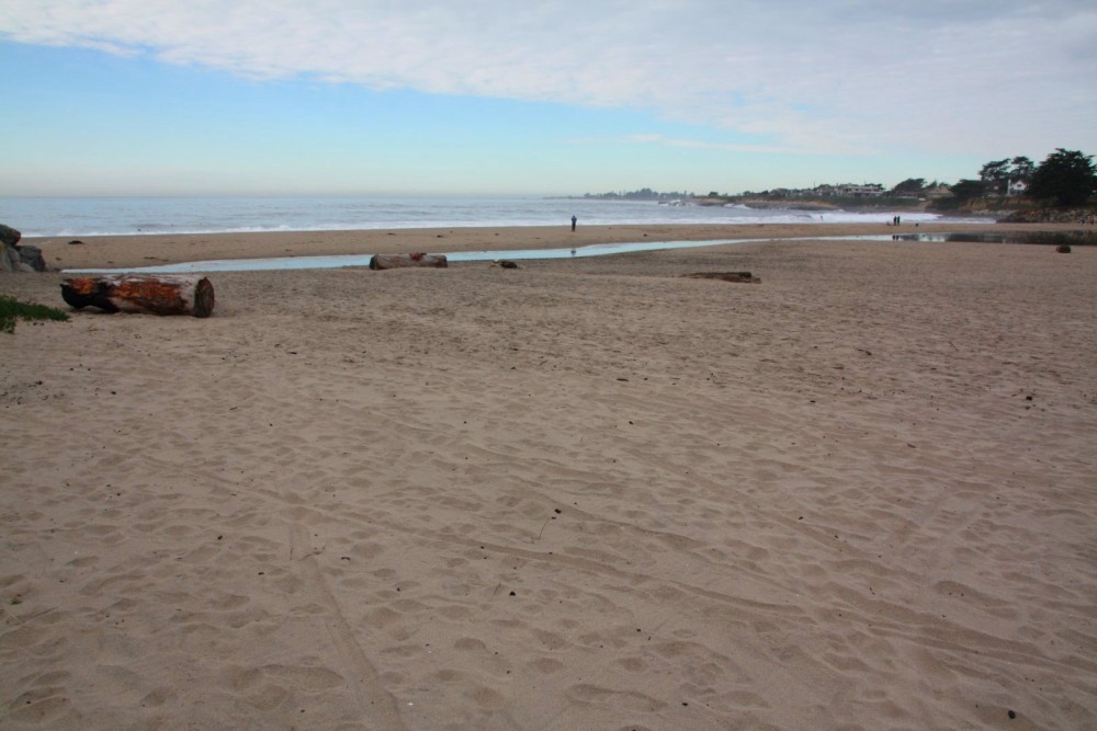 Corcoran Lagoon Beach, Santa Cruz, CA - California Beaches